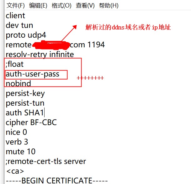 Padavan固件公网下的openvpn服务端搭建 – ACEVS