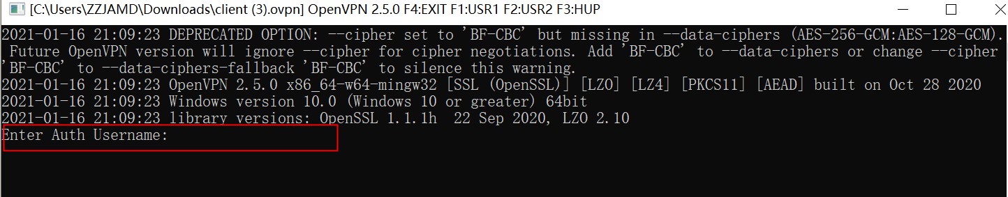 Padavan固件公网下的openvpn服务端搭建 – ACEVS